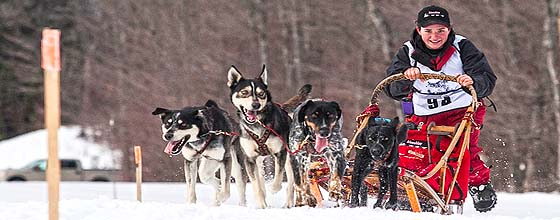 Laura Neese - Musher - inOffizielle deutsche Yukon Quest Seite